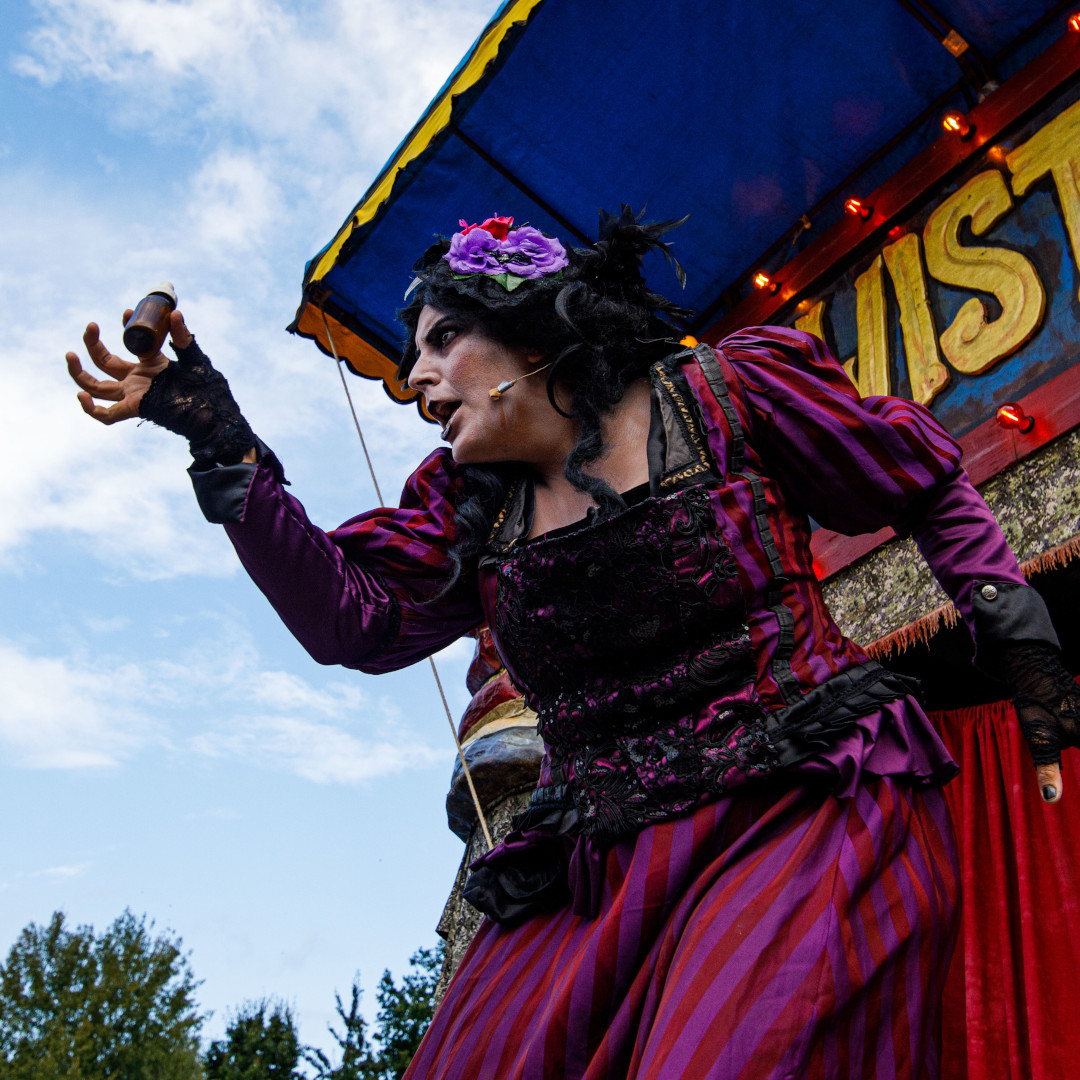 The Electric Fairground Organism - Twisted Fairground